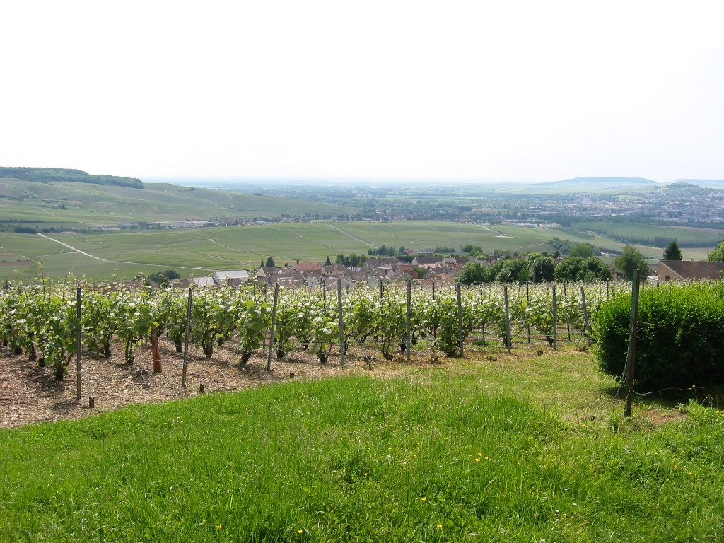Bicycle the Champagne Region of France in a Weekend